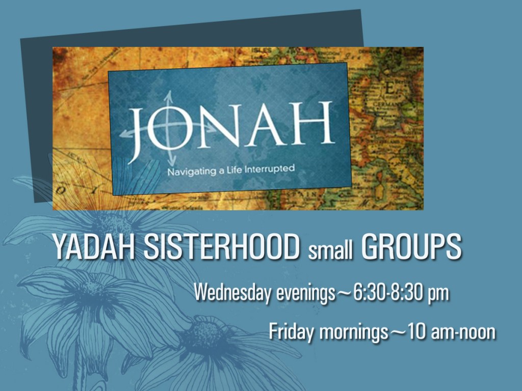 Jonah-Navigating a Life Interrupted | CrossPoint Community Church
